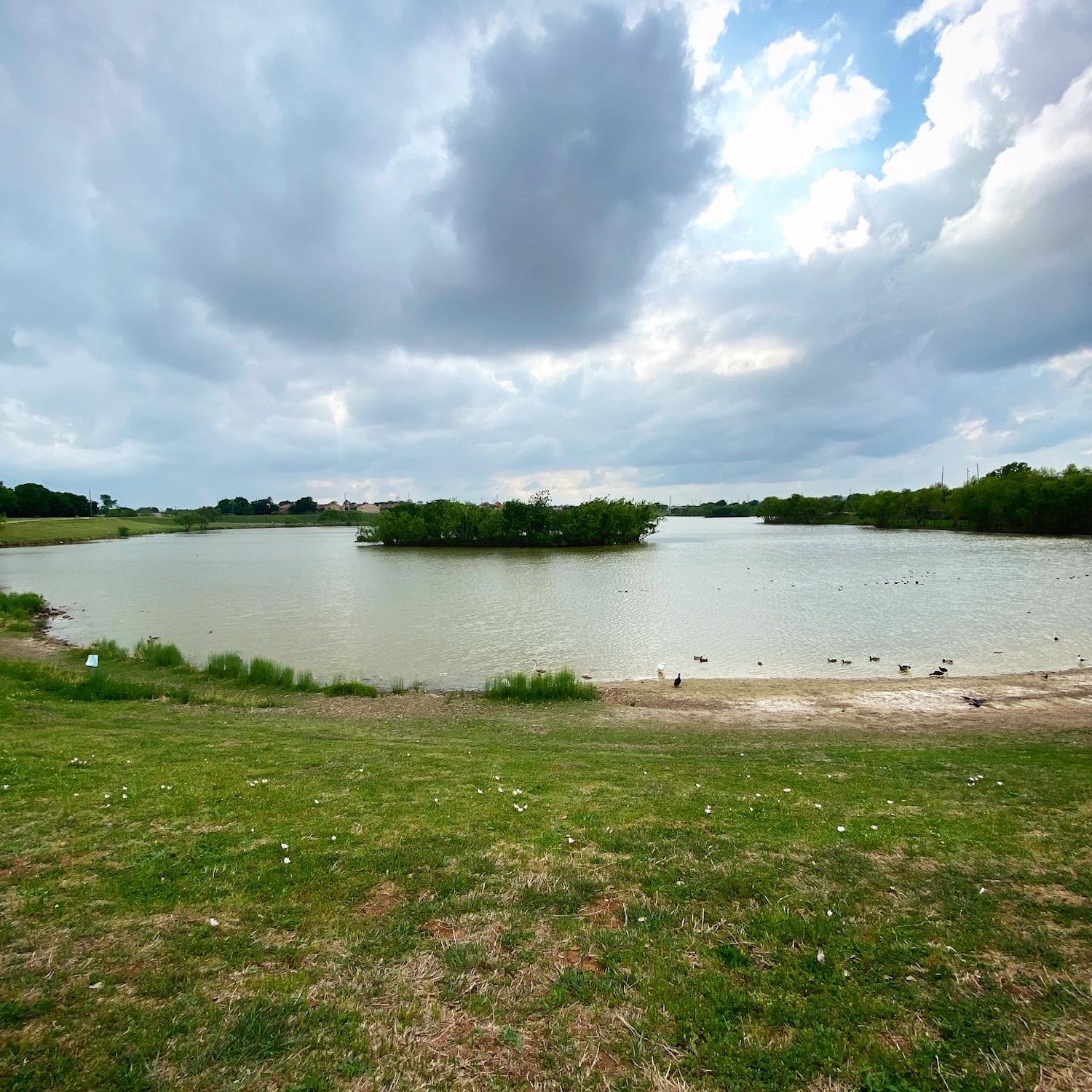 Arthur Storey Park - HTX Travelers