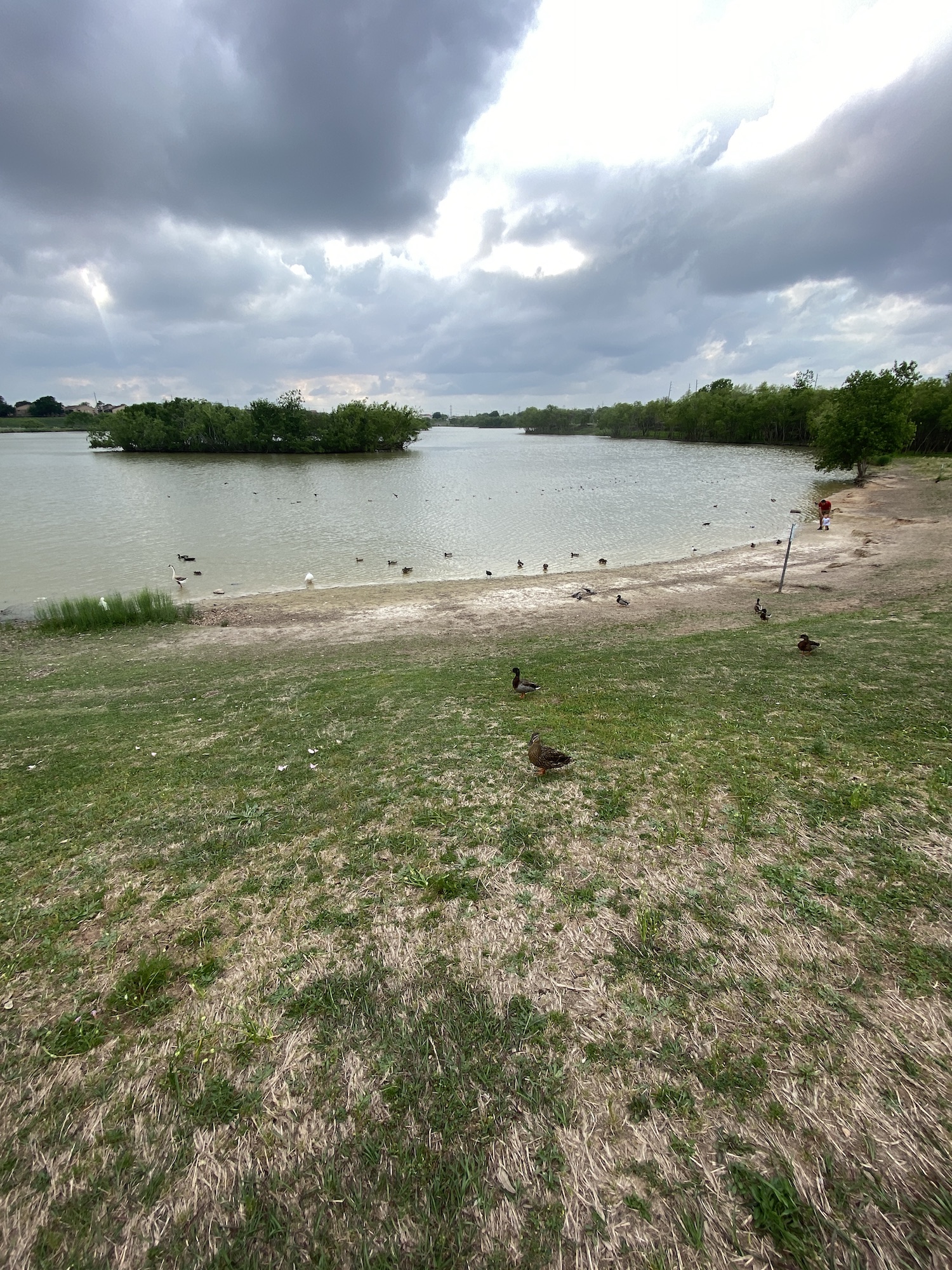 Arthur Storey Park - HTX Travelers