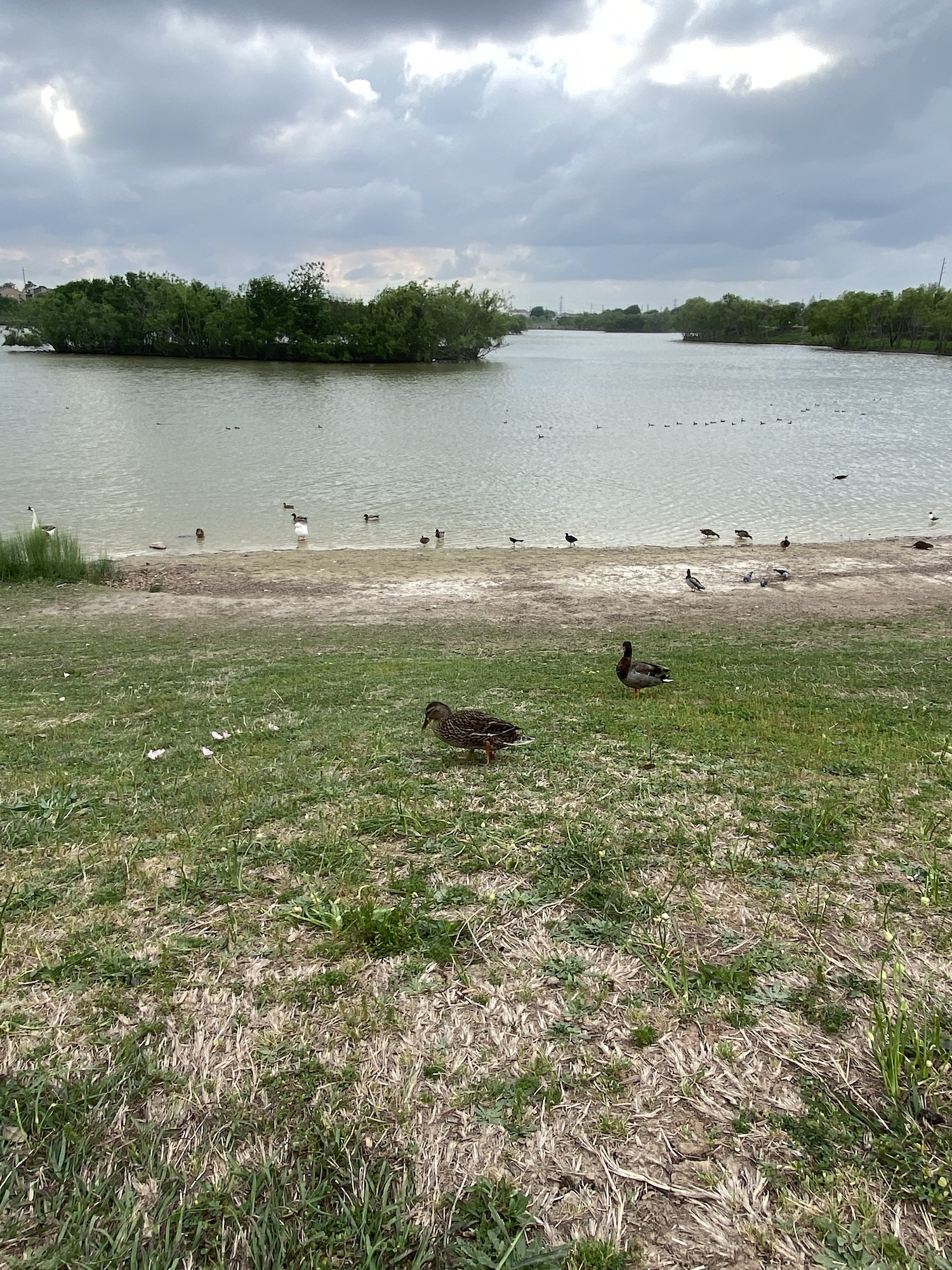 Arthur Storey Park - HTX Travelers